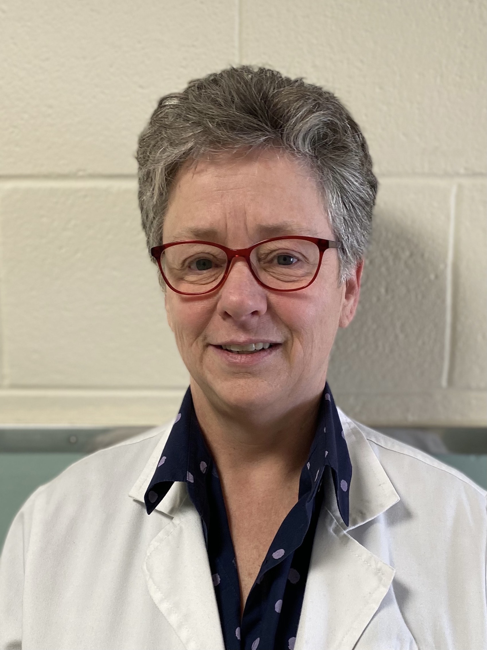 Hospital Based Violence Intervention Programs - An Overview and ...